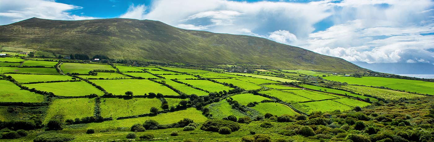 Our Team - The Ireland Funds, Progress through Philanthropy