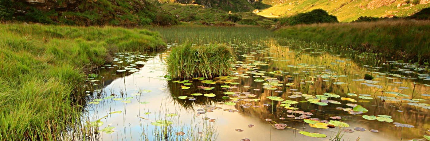 IFGB Board of Directors - The Ireland Funds, Progress through Philanthropy