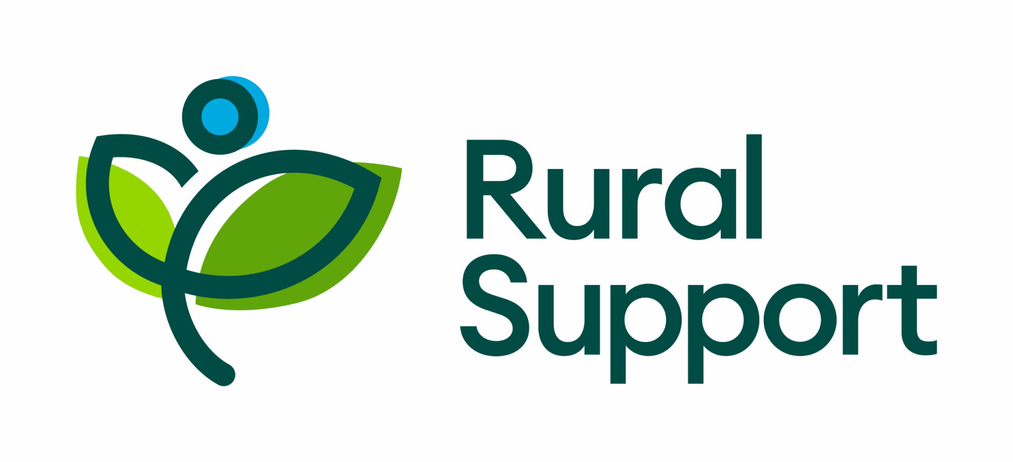 Heart of the Community Fund 2024 - The Ireland Funds, Progress through ...